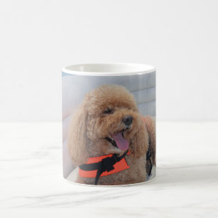 Cockapoo Coffee & Travel Mugs | Zazzle UK