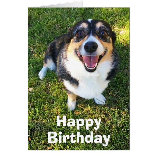Corgi Birthday Cards & Invitations | Zazzle.co.uk