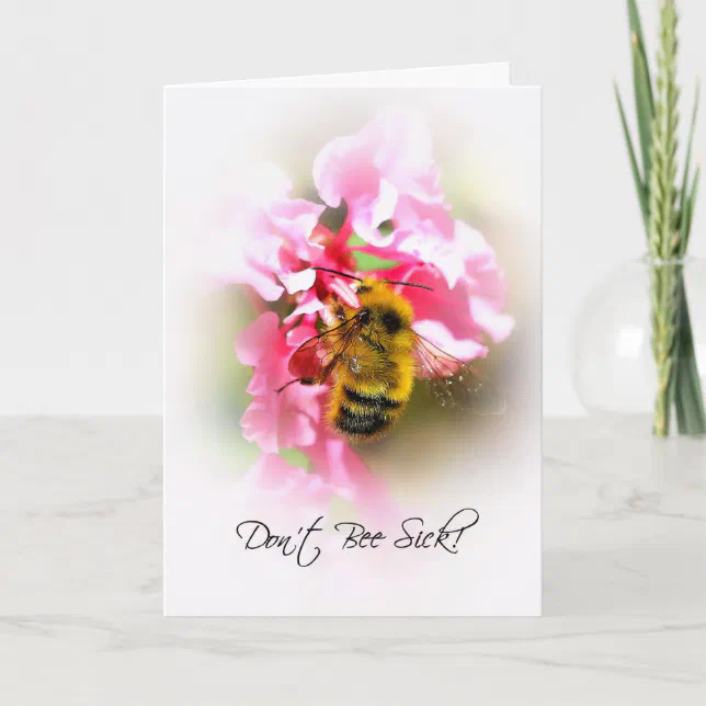 Cute Get Well Soon, Bumble Bee On Pink Flowers Card | Zazzle