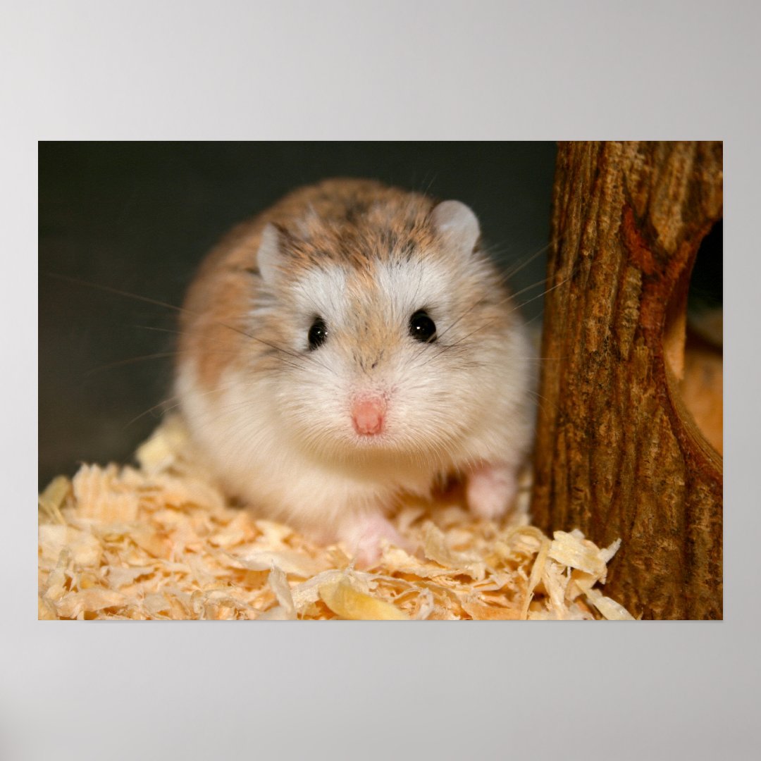 Cute Ickle Poster | Zazzle