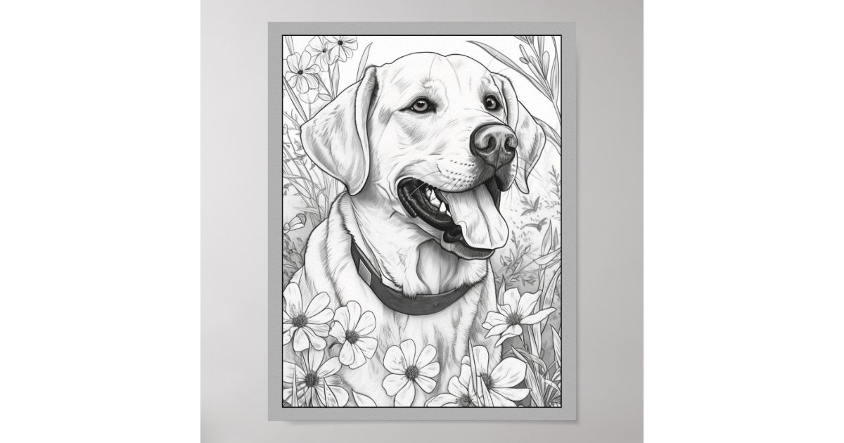 Cute Labrador Retriever Dog Colouring Poster | Zazzle