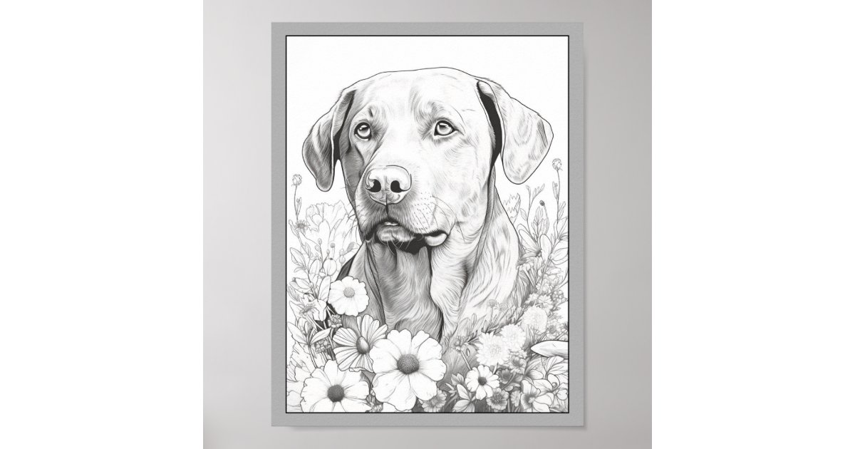 Cute Labrador Retriever Dog Colouring Poster | Zazzle