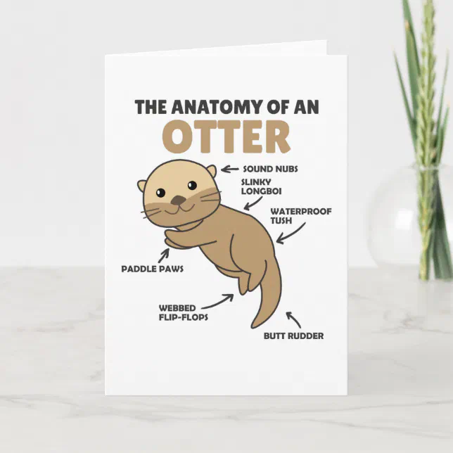 Cute Otter Explanation Anatomy Of An Otter Card | Zazzle