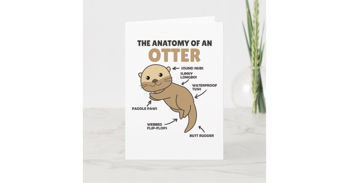 Cute Otter Explanation Anatomy Of An Otter Card | Zazzle