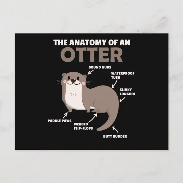 Cute Otter Explanation Anatomy Of An Otter Postcard | Zazzle
