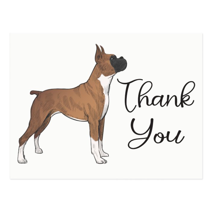 Cute Puppy Cartoon Boxer Dog Thank You Postcard | Zazzle.co.uk