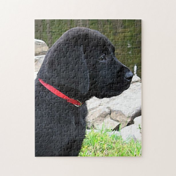 Black Labrador Jigsaw Puzzles | Zazzle.co.uk