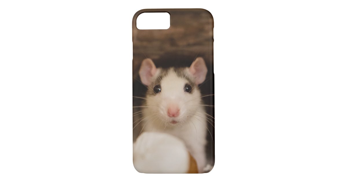 Cute Rat Case-Mate iPhone Case | Zazzle