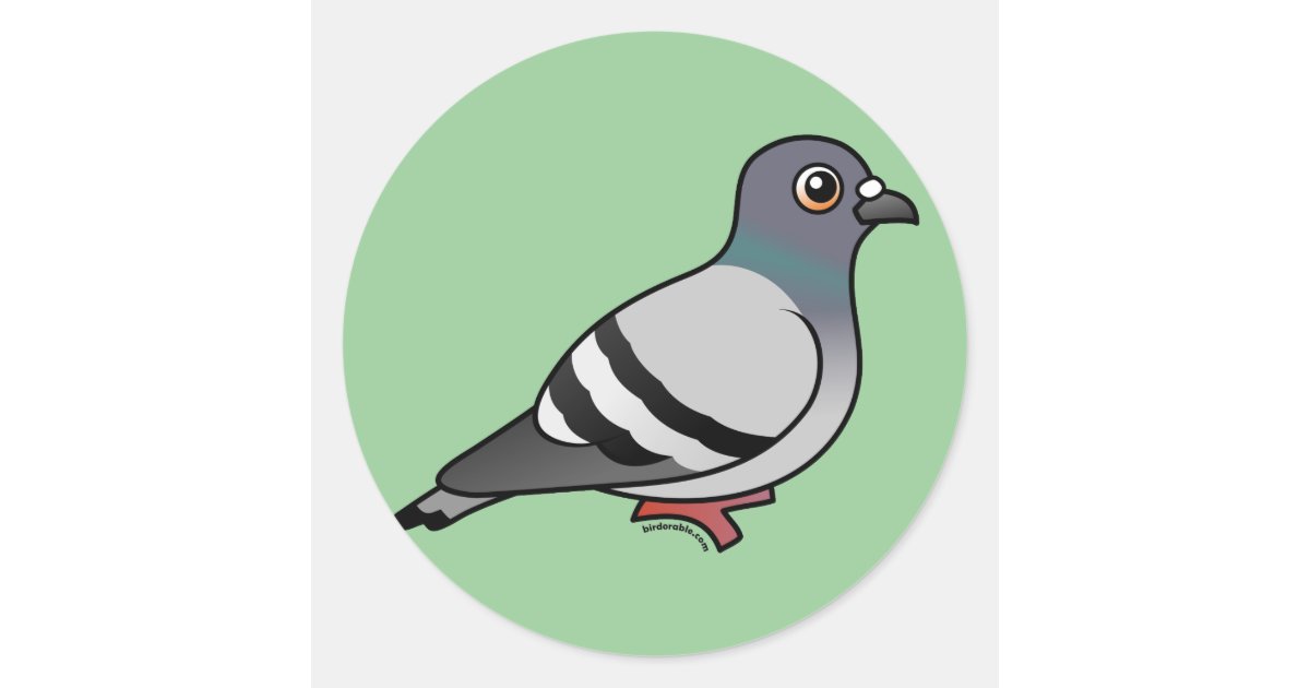 Cute Rock Pigeon Classic Round Sticker | Zazzle