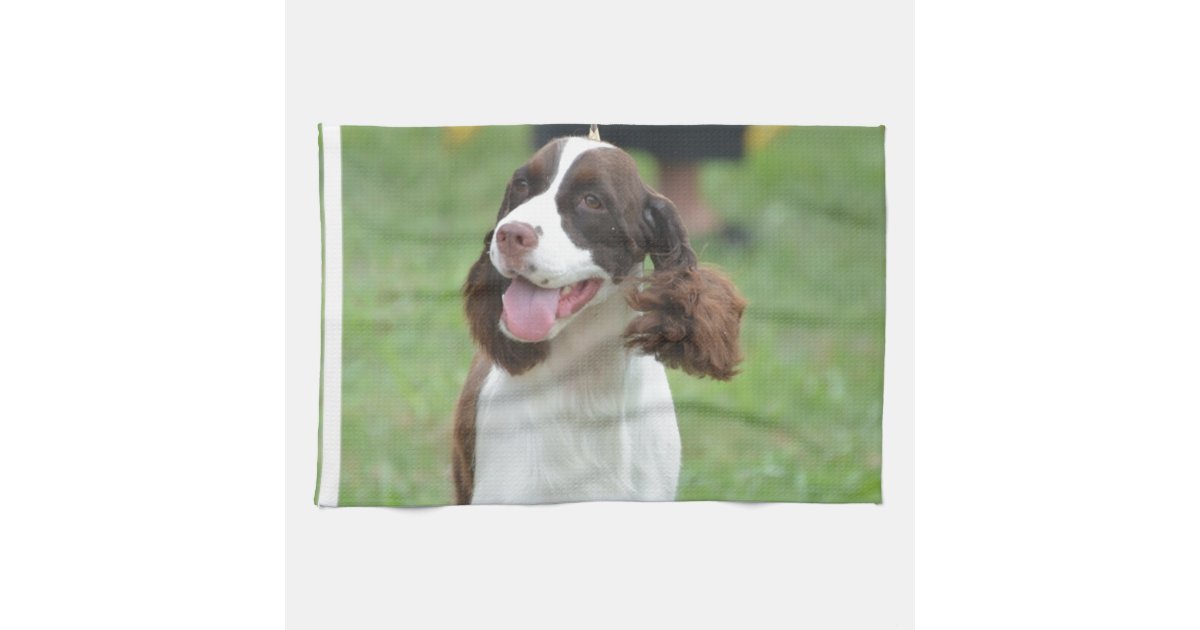 Cute Springer Spaniel Tea Towel | Zazzle