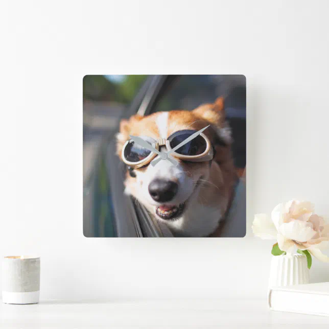 Cutest Baby Animals | Corgi Goggles in the Car Square Wall Clock | Zazzle