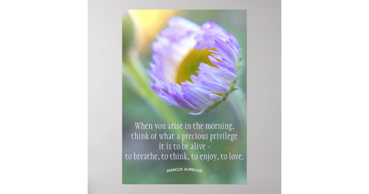 Daily Gratitude Inspirational Quote Floral Poster | Zazzle