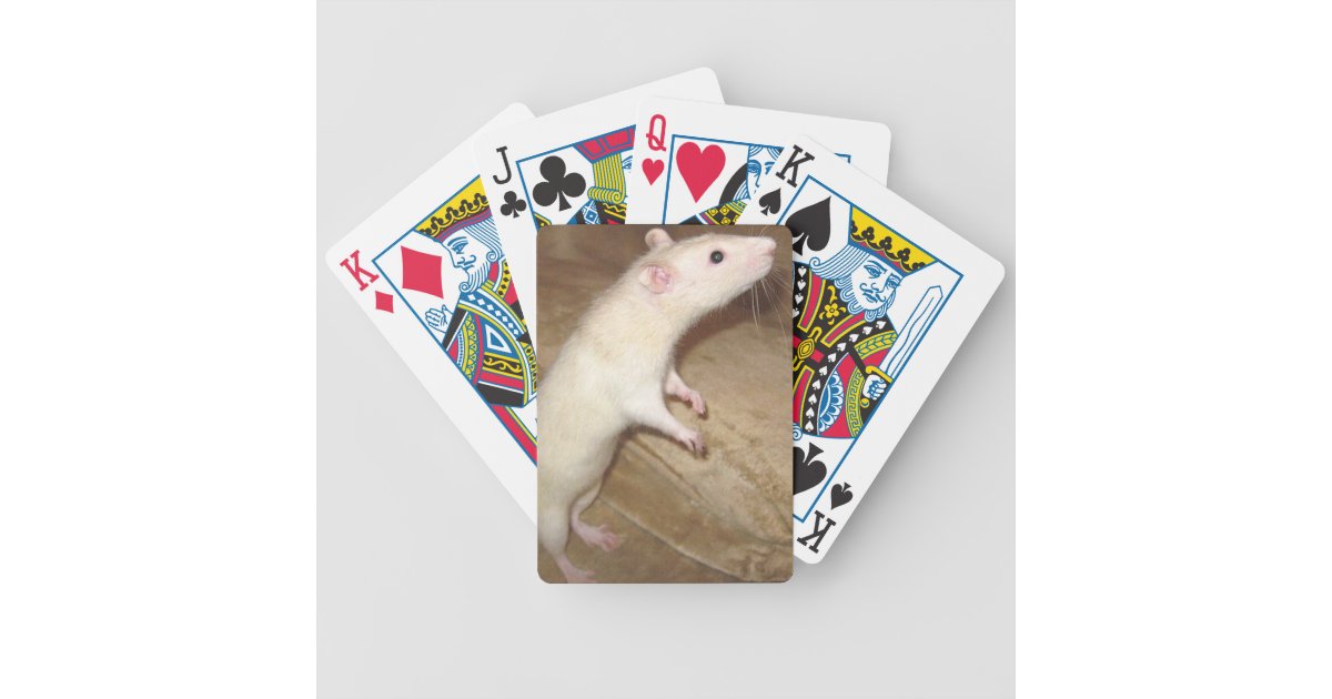 DANCING RAT PLAYING CARDS | Zazzle.co.uk