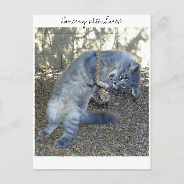 Dancing With Snake Postcard | Zazzle