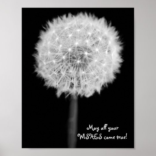 Dandelion "May all your wishes come true!" Poster | Zazzle.co.uk