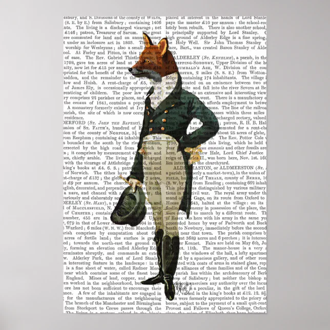 Dandy Fox Full Poster | Zazzle