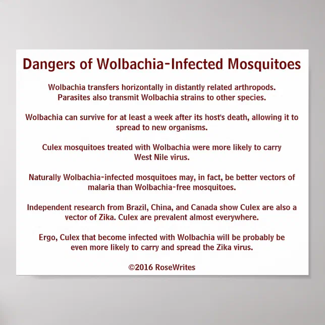 Dangers of Wolbachia Mosquitoes by RoseWrites Poster | Zazzle
