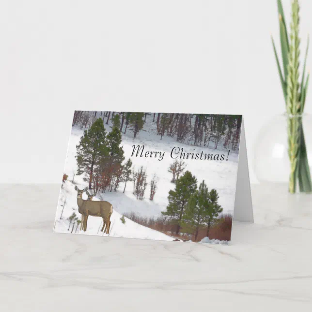 Deer Christmas Card | Zazzle