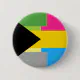 Demiromantic Pansexual Pin | Zazzle