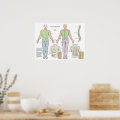 Dermatome Alarm Back Shu Acupuncture Points Chart | Zazzle