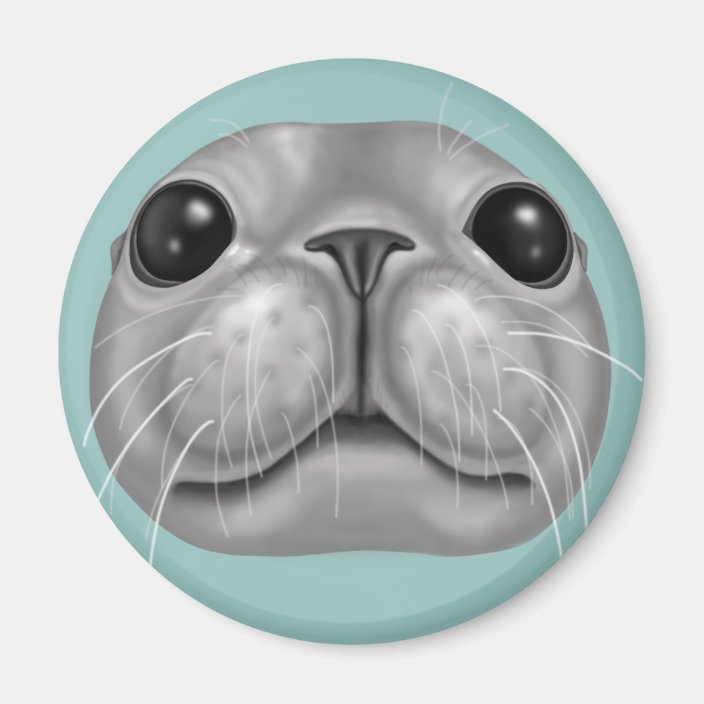 Derpy seal magnet | Zazzle.co.uk