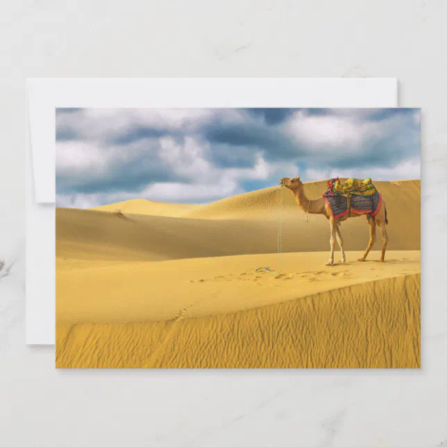 Deserts | Thar Desert Rajasthan India Camel Thank You Card | Zazzle