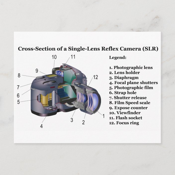 Diagram of a Single Lens Reflex Camera SLR Postcard | Zazzle.co.uk