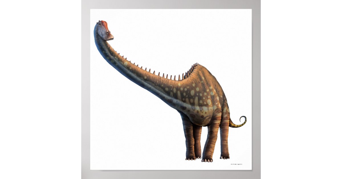 Diplodocus Poster | Zazzle