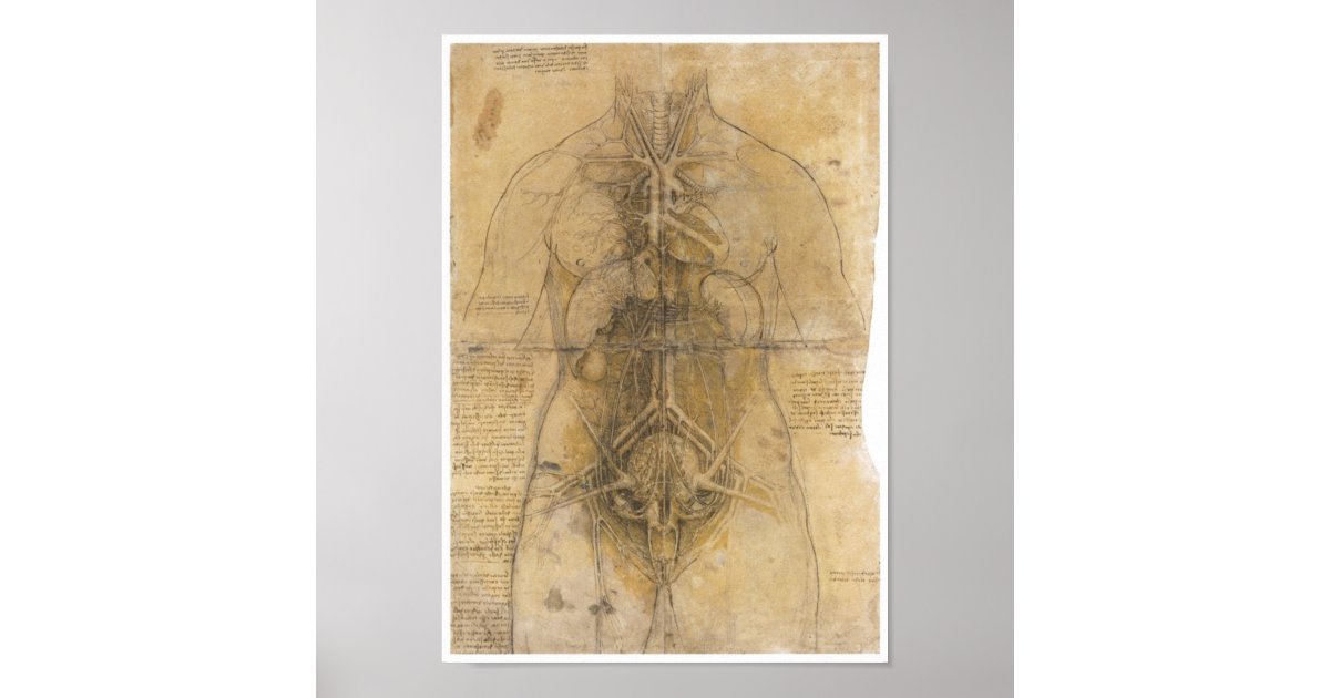 Dissection of the organs of a woman, Da Vinci Poster | Zazzle