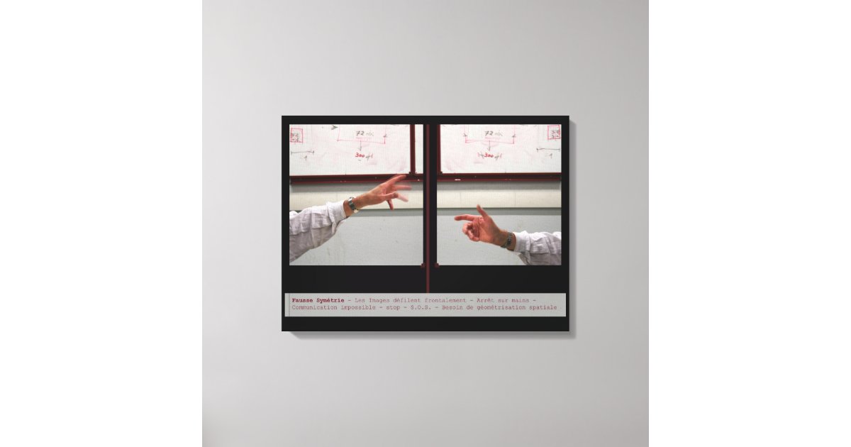 Distort Symmetry Fausse Symetrie Canvas Print | Zazzle
