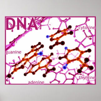 Dna Posters | Zazzle.co.uk
