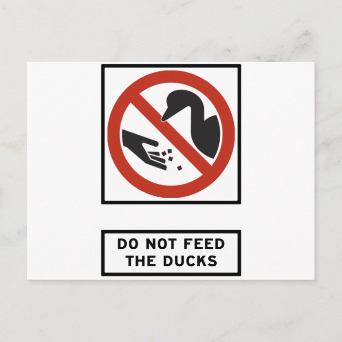 Do Not Feed the Ducks Highway Sign Postcard | Zazzle.co.uk