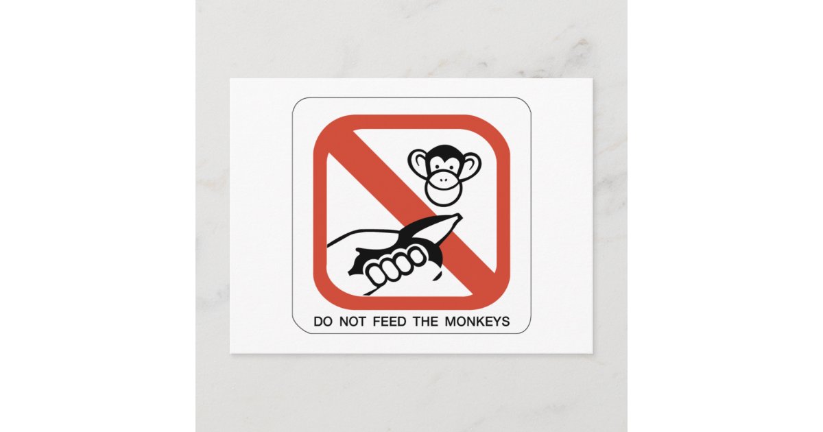 Do Not Feed The Monkey I Postcard | Zazzle