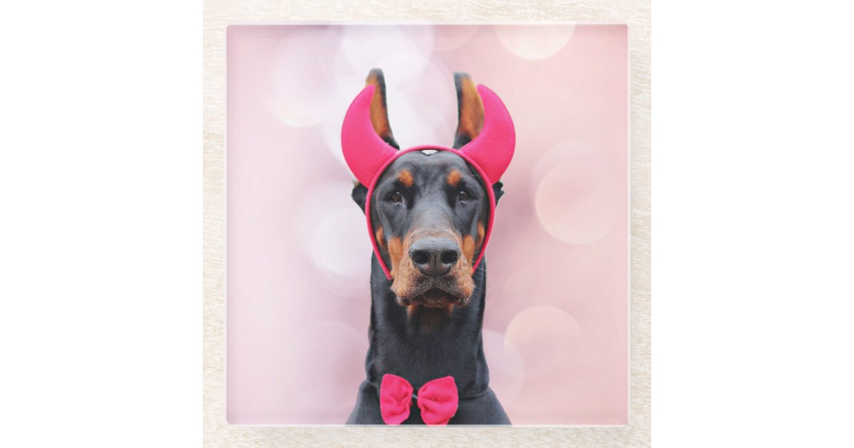 Doberman in Devil Costume Glass Coaster | Zazzle