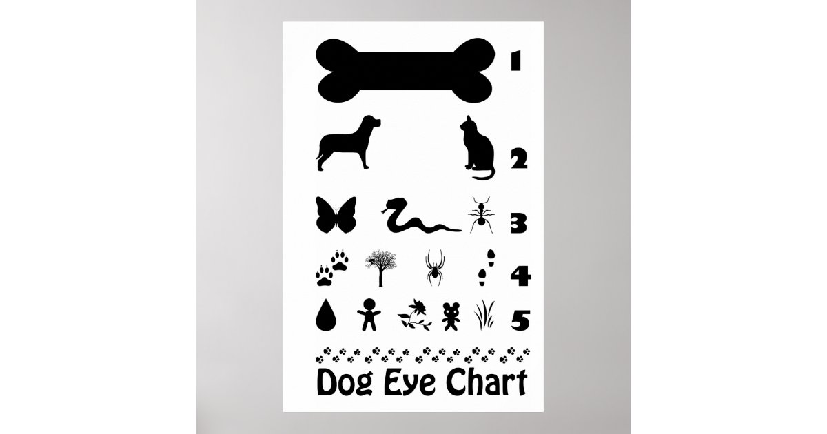 Dog Eye Chart Poster | Zazzle