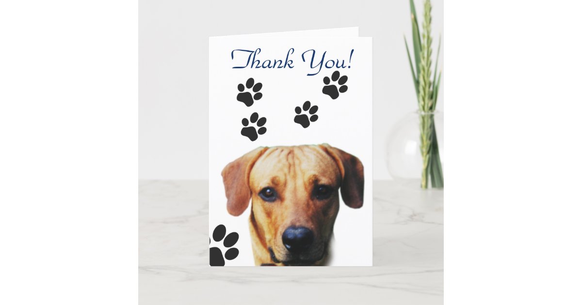 Dog Paw Print Thank you | Zazzle