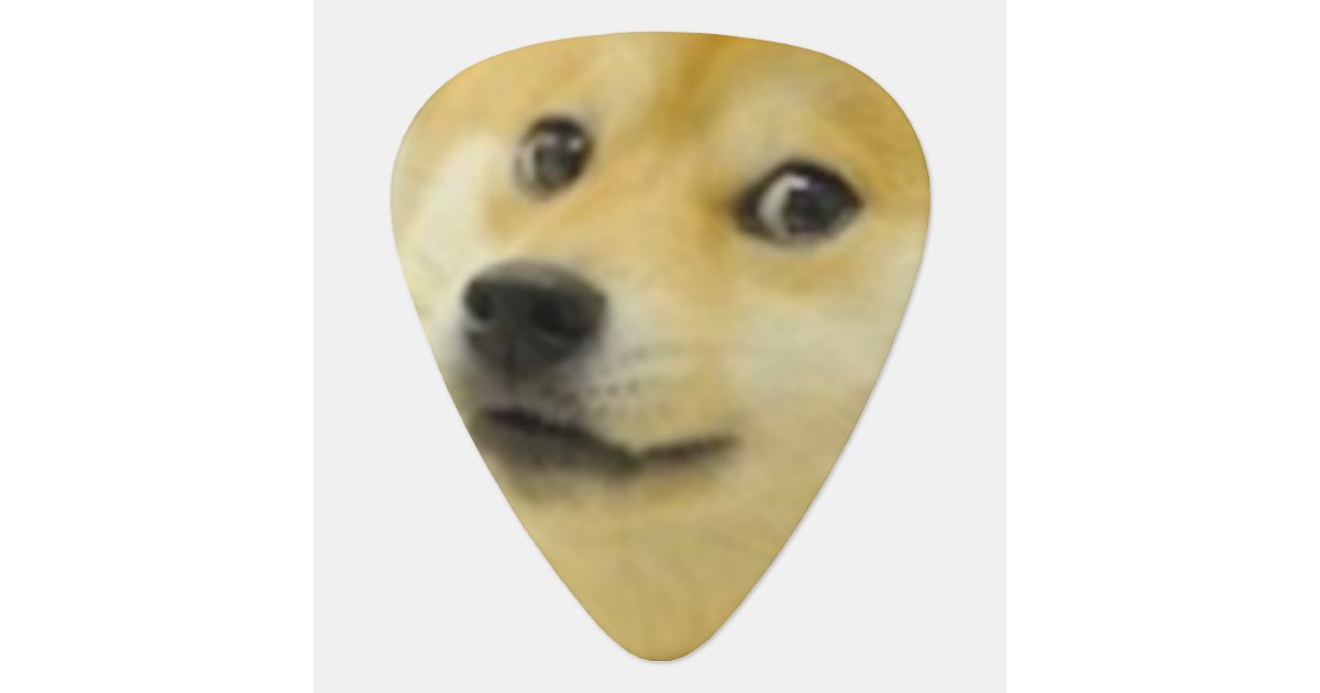 Doge Guitar Picks | Zazzle
