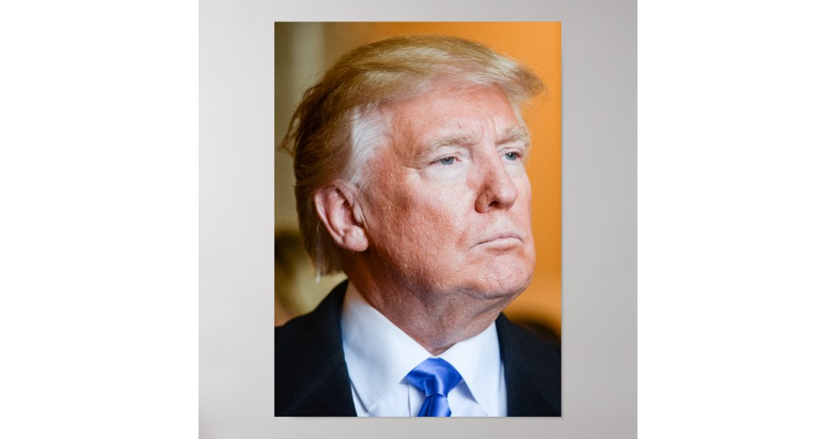 Donald Trump Portrait Poster | Zazzle
