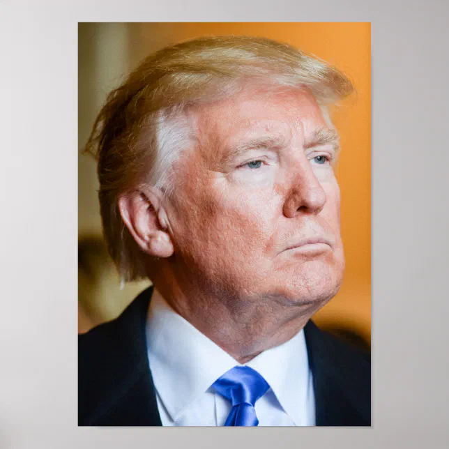 Donald Trump Portrait Poster | Zazzle