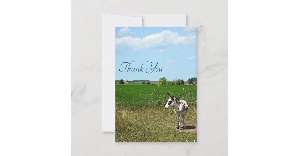 Donkey in a Field Thank You Card | Zazzle