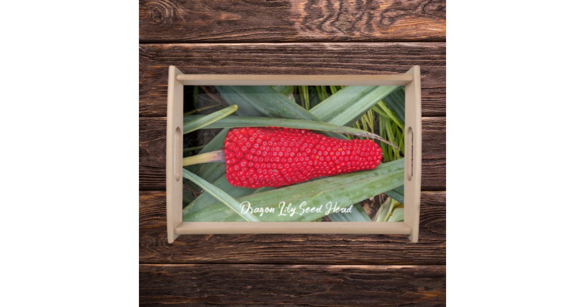 Dragon Lily Red Seed Head Serving Tray | Zazzle
