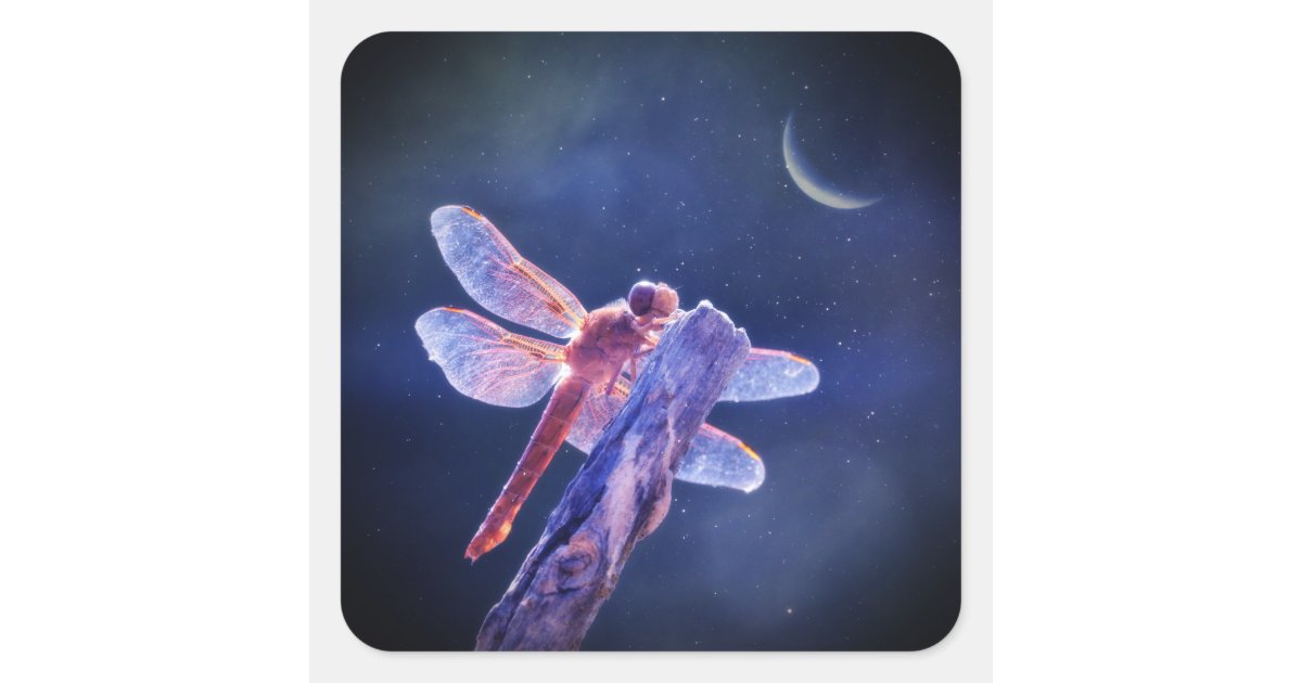 Dragonfly and Crescent Moon Mystical Square Sticker | Zazzle