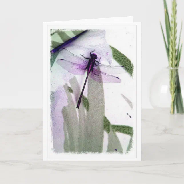 Dragonfly Art Card | Zazzle