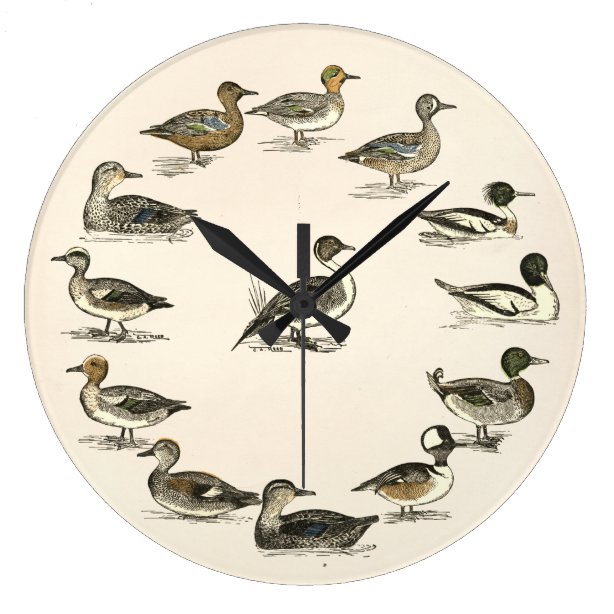 Duck Wall Clocks | Zazzle UK