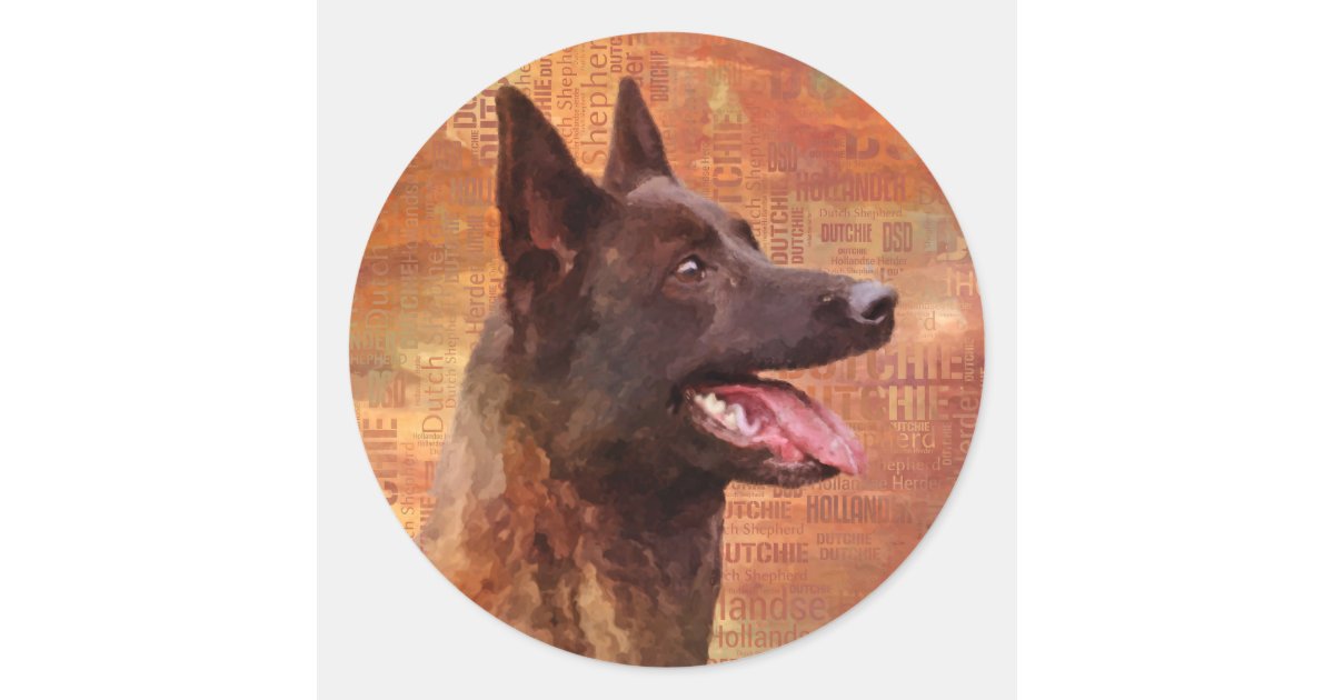Dutch Shepherd -Hollandse Herdershond Classic Round Sticker | Zazzle