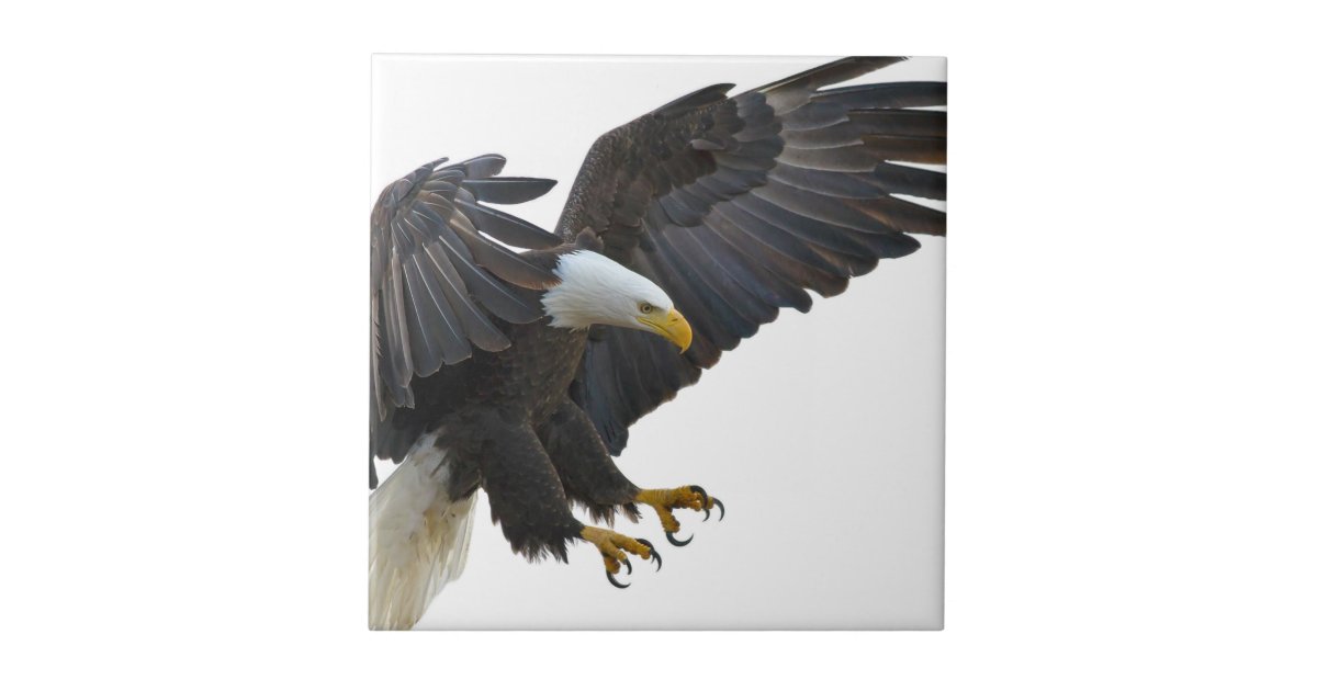 Eagle Tile | Zazzle