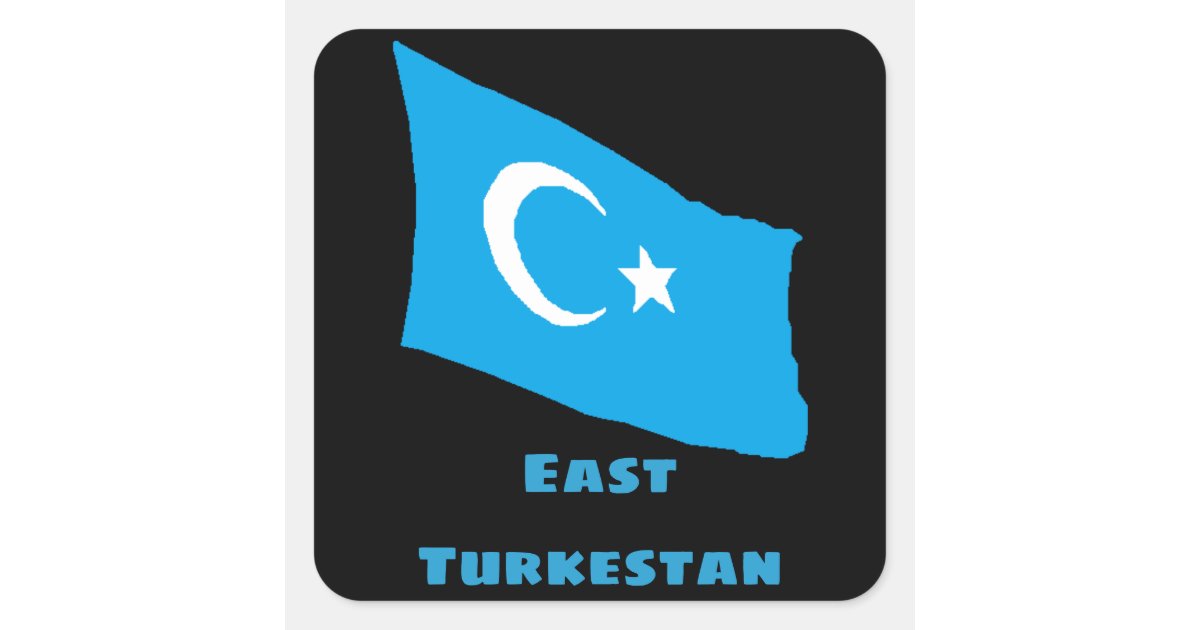 East Turkestan Flag Sticker | Zazzle