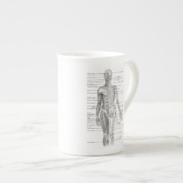 Human Anatomy Mugs, Coffee Mugs & Cups | Zazzle UK
