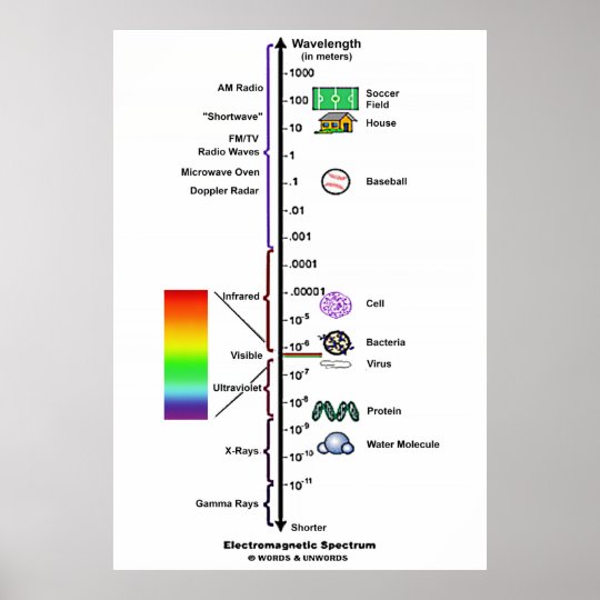 Electromagnetic Spectrum (Wavelengths Comparison) Poster | Zazzle.co.uk