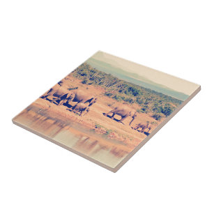 Animal Print Decorative Ceramic Tiles | Zazzle.co.uk